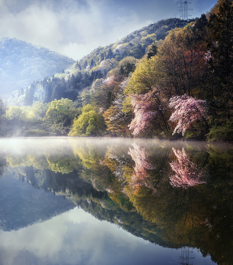 Spring reflection by Jaewoon U / 500px