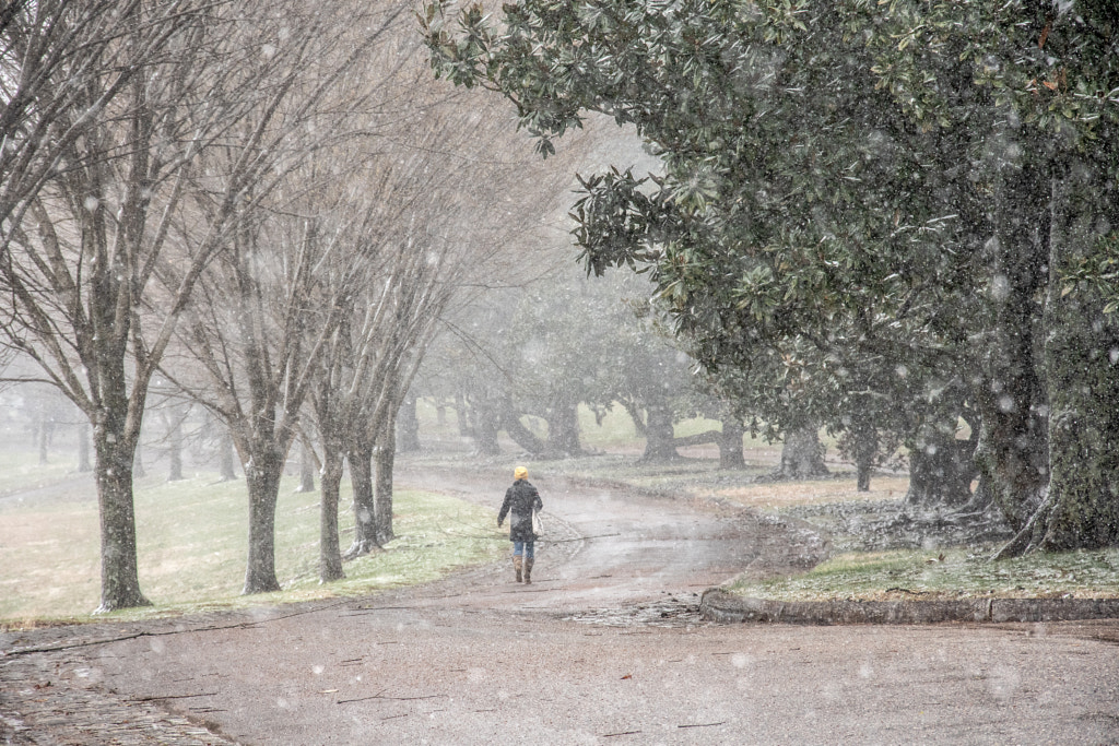 Snowy Walk by Robert Pfeifer / 500px