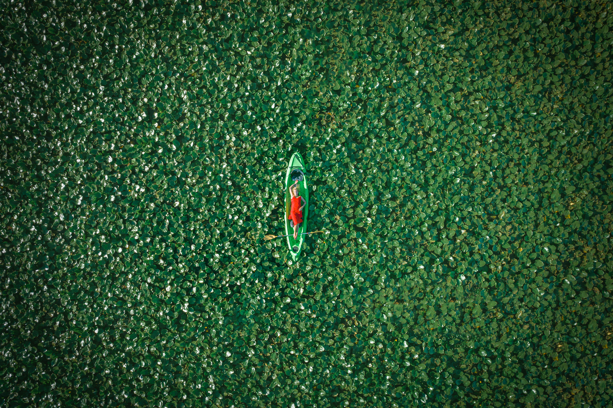 Sea of green by Katarina Mandarina / 500px