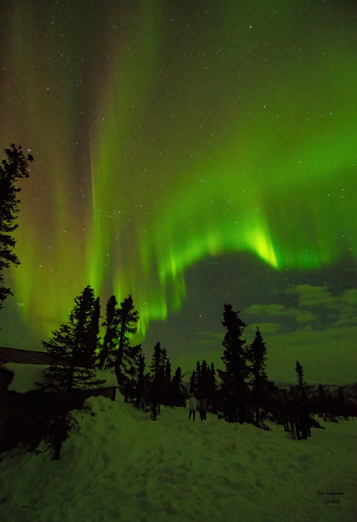 Charlie Dome, Chena Hot Springs, Alaska by Jim Lustgarten / 500px