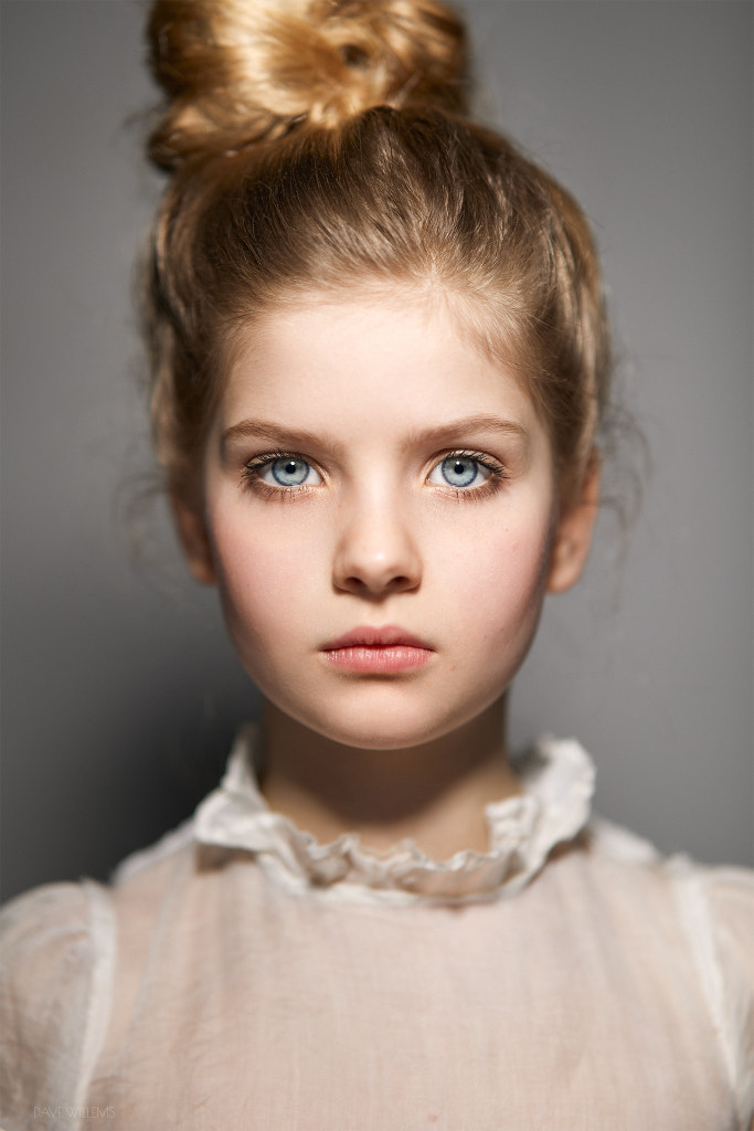 Poppy by Dave Willems / 500px