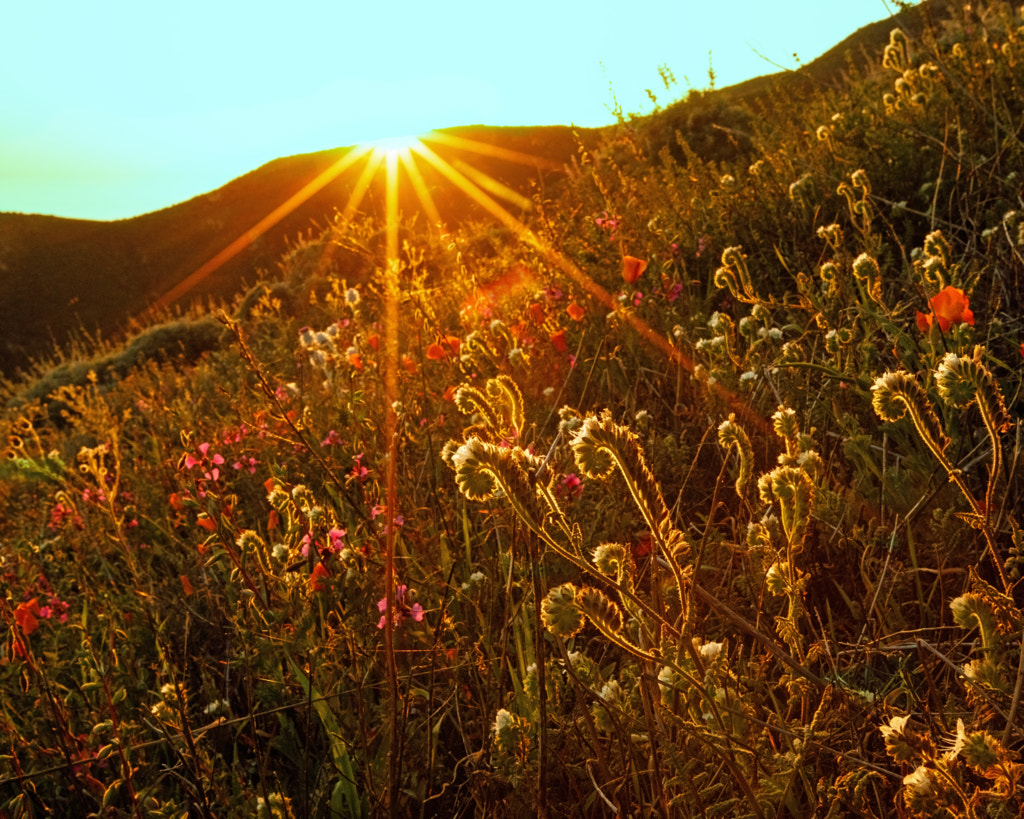 Sunset in April by Jay Edelman / 500px