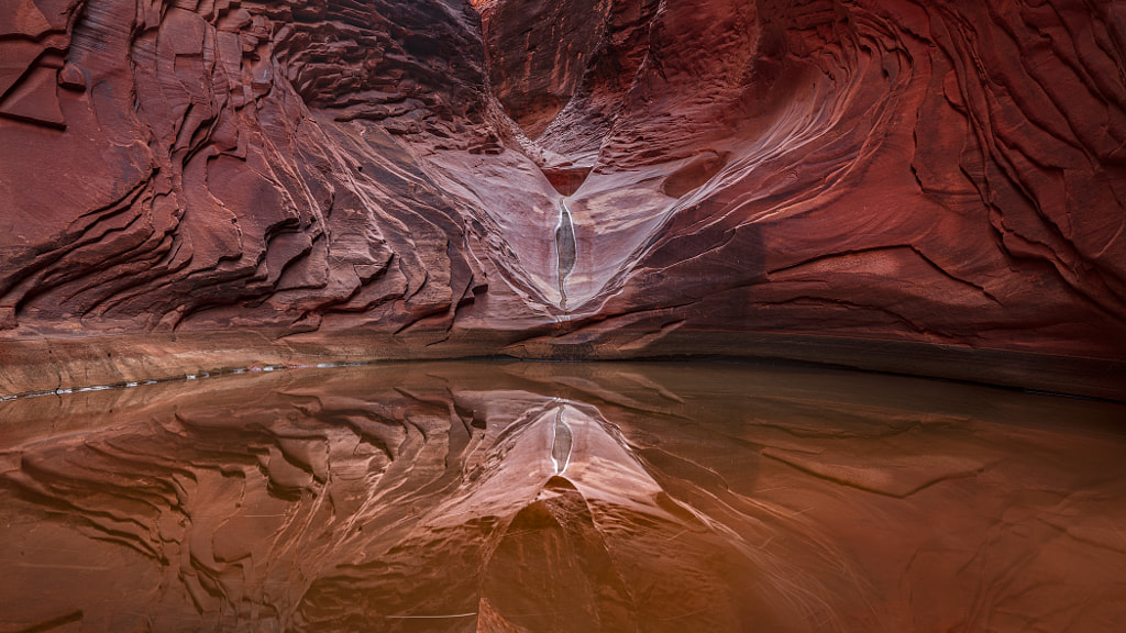~Mirror, Mirror, on the wall~ by Danilo Faria / 500px