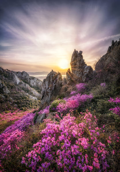 Jaewoon U's Photos & Galleries | 500px