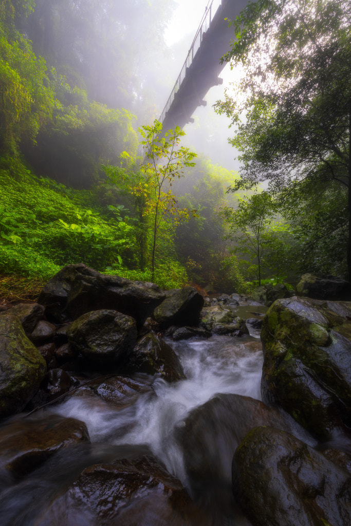 Crystal Shower by Dylan Toh & Marianne Lim / 500px