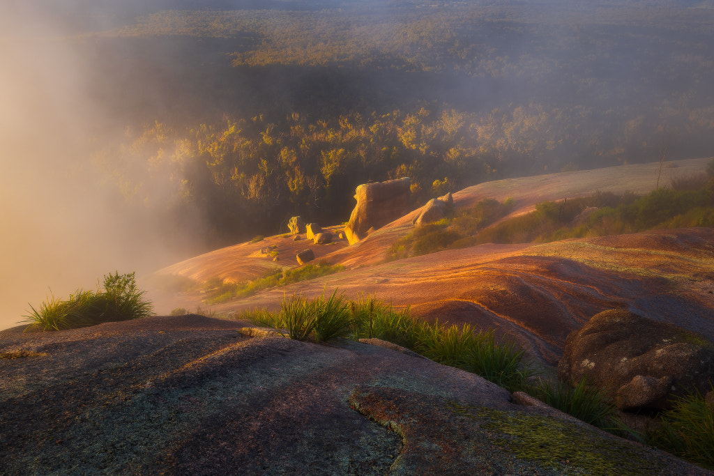 Bald Rock Mists by Dylan Toh & Marianne Lim / 500px
