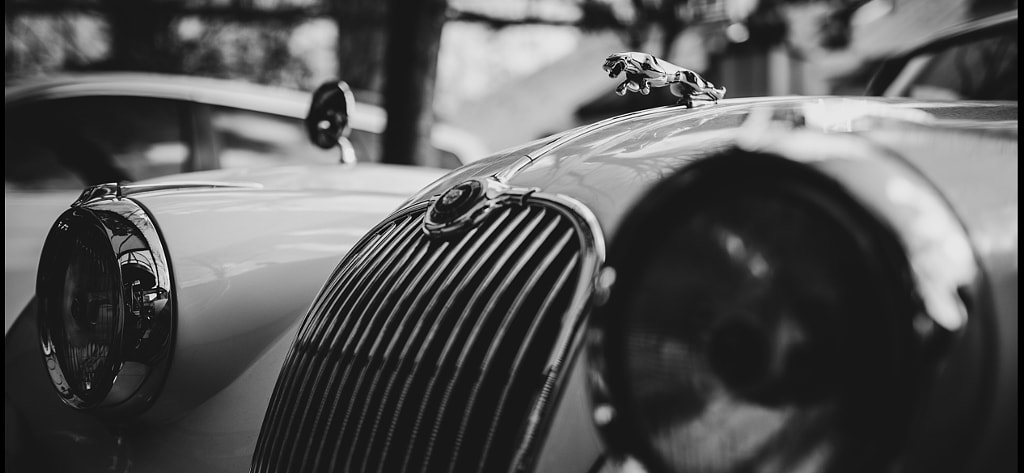 Big cat classic car by Norman B / 500px