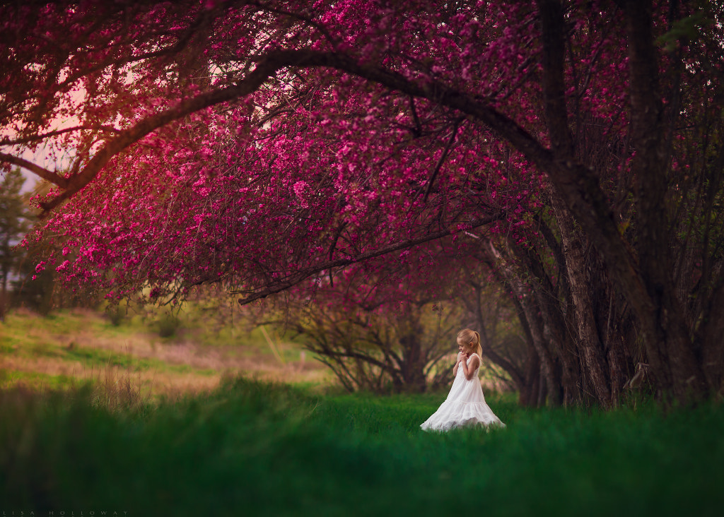 Springtime Dance by Lisa Holloway / 500px