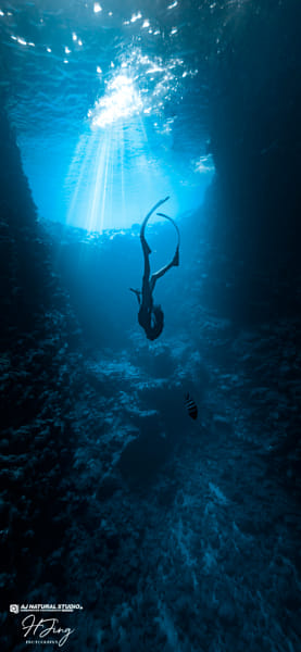 Underwater Acrobatics by Frank Silva / 500px