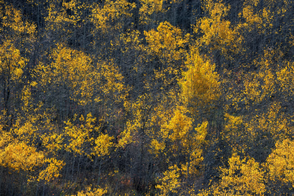 Eric Bennett (EricBennett) Profile / 500px