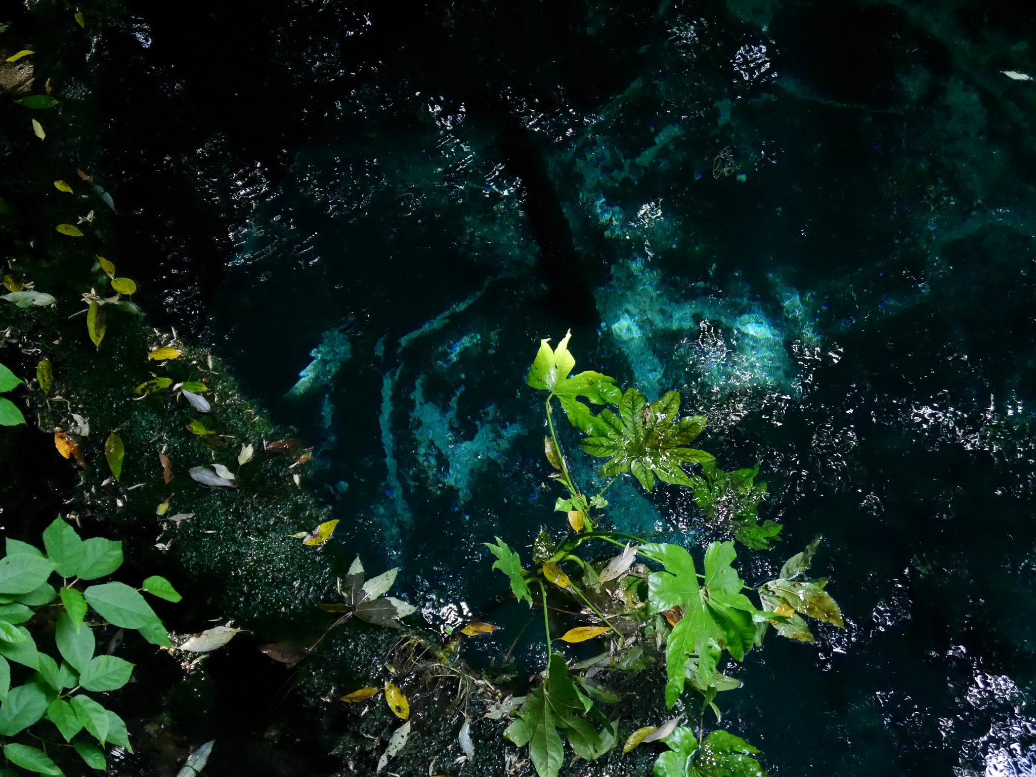 spring water by kuu akura / 500px