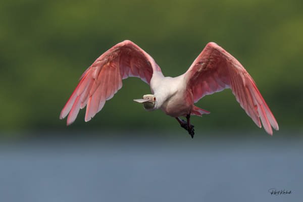 Robert Kimbrell (robertkimbrell) Profile / 500px