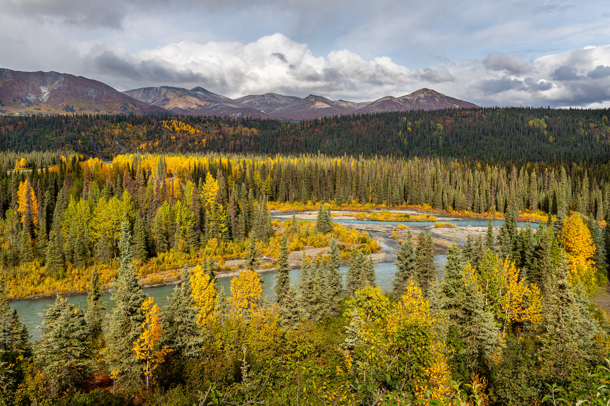 Fall along the Denali Highway by Barbara Mierau-Klein / 500px