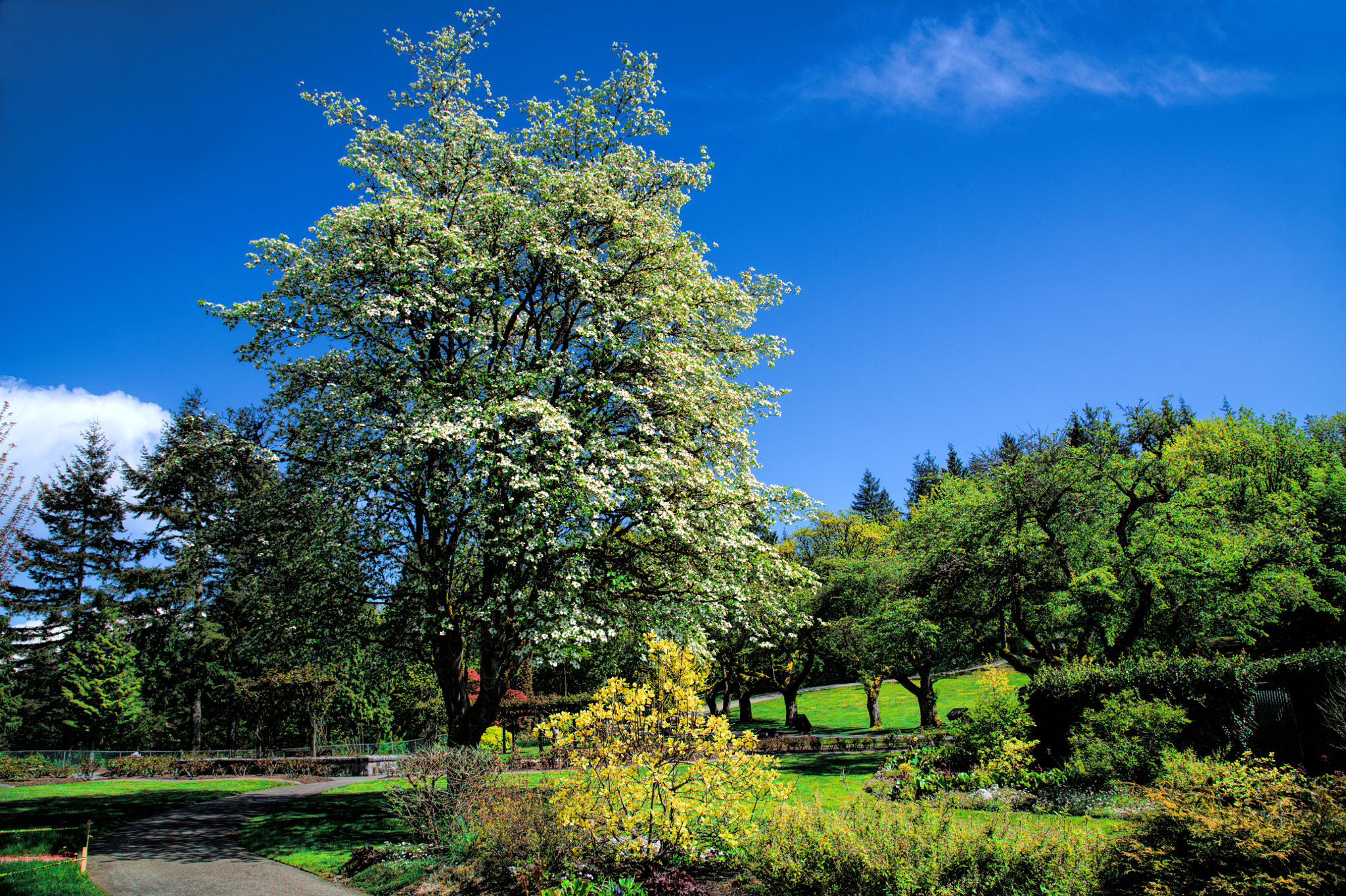 Glorious Spring (2249) by Cas Balicki / 500px