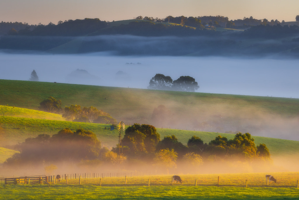 Golden MIsts by Dylan Toh & Marianne Lim / 500px