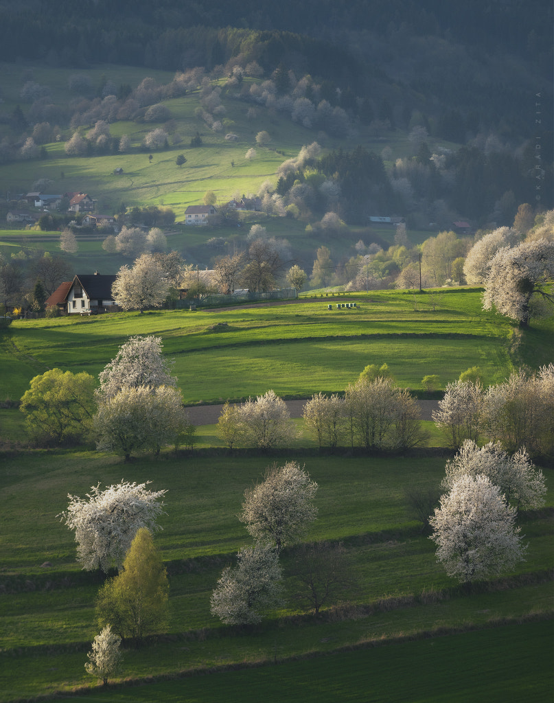 ROlling hills with music sheet by Zita Karádi / 500px