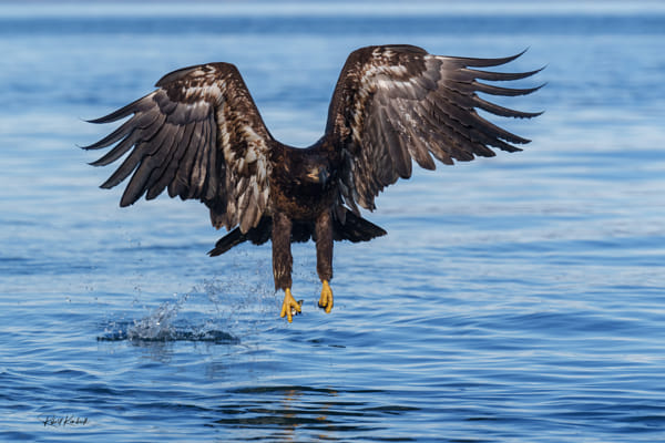 Robert Kimbrell (robertkimbrell) Profile / 500px