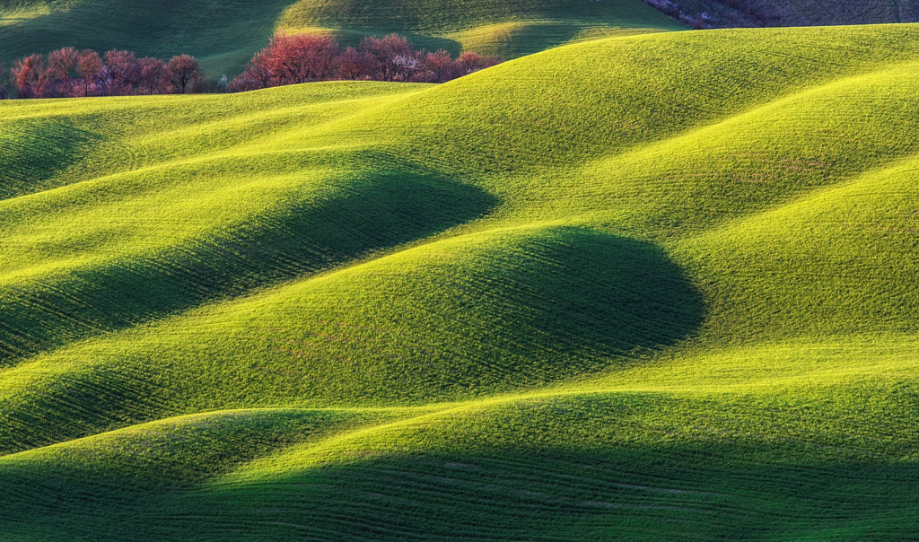 Wavy Hills by Carsten Meyerdierks / 500px