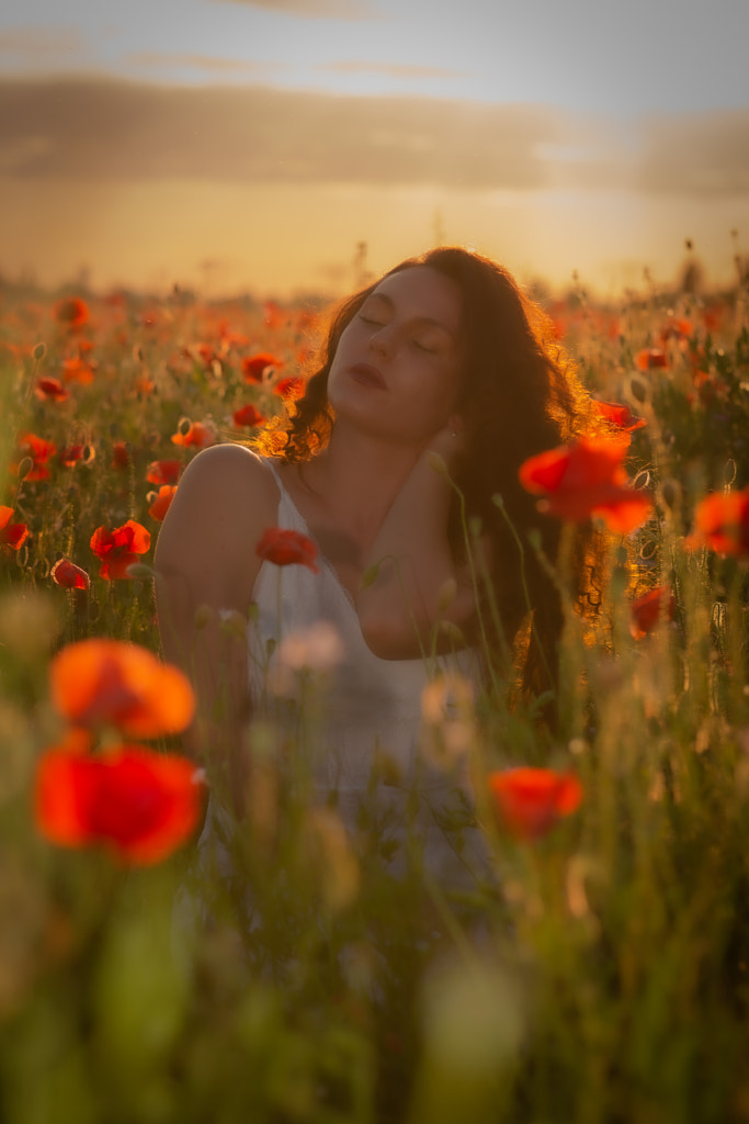 Sonnenuntergang by Frank Reinbold / 500px