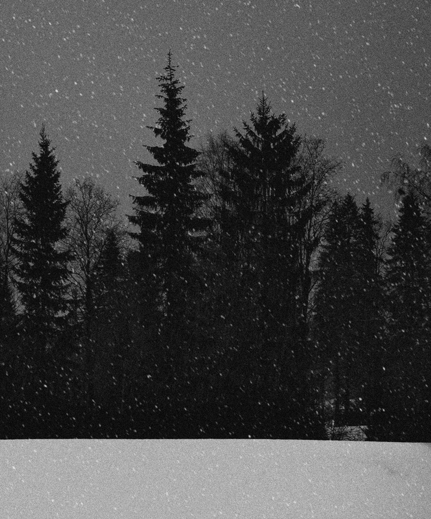 Slutet var nära by Vinter Skugga / 500px