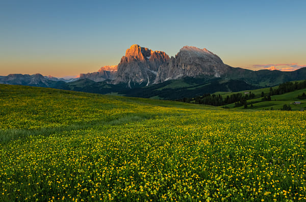 Stefan Thaler (thalerst) Profile / 500px