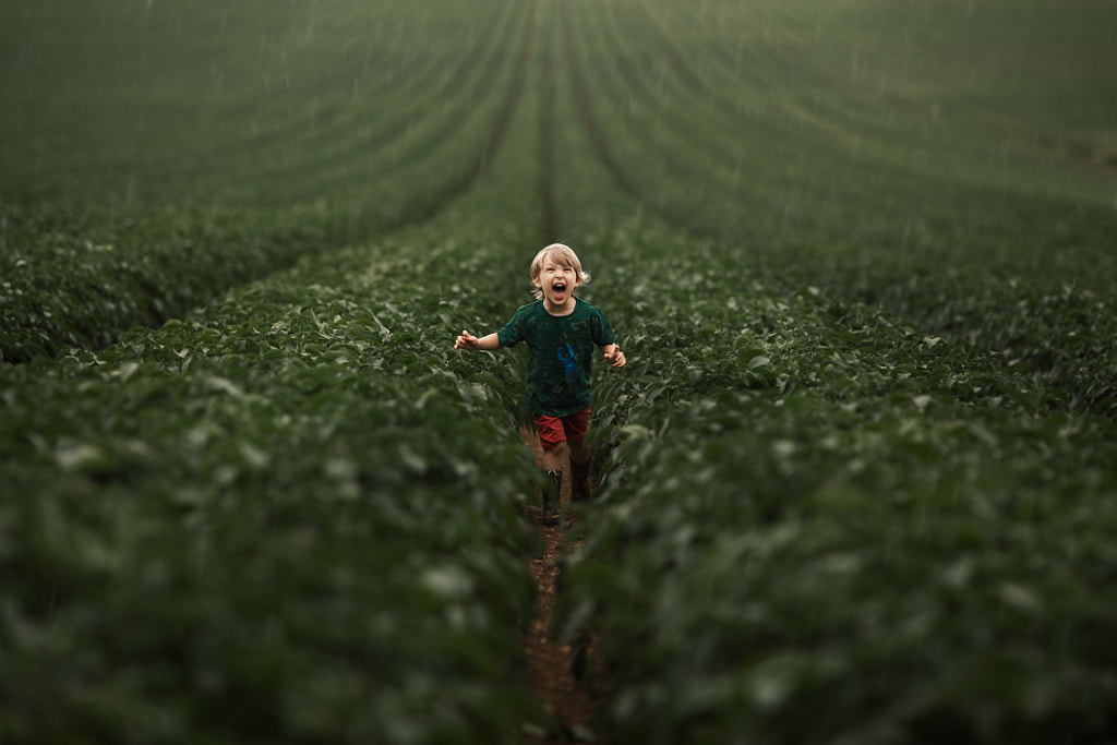 Potatoes by Karolina Talaga / 500px