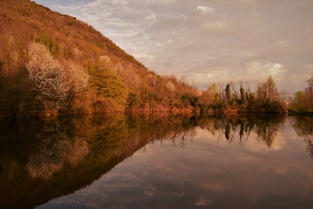 early spring by Carlotta Ricci / 500px