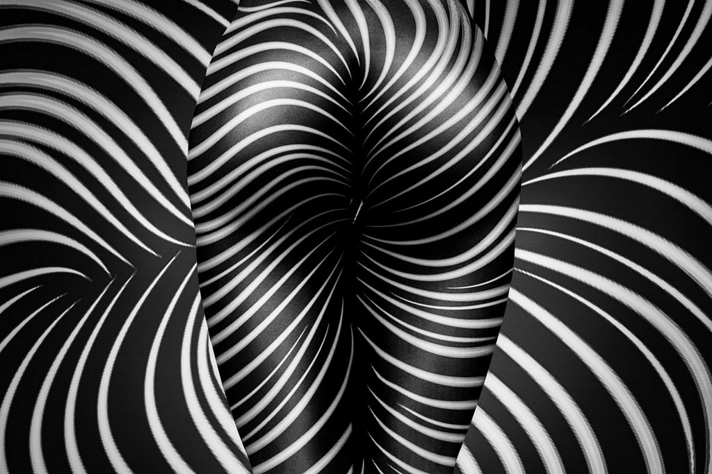 fine zebra nude art stripes & curves by Kristian Liebrand / 500px