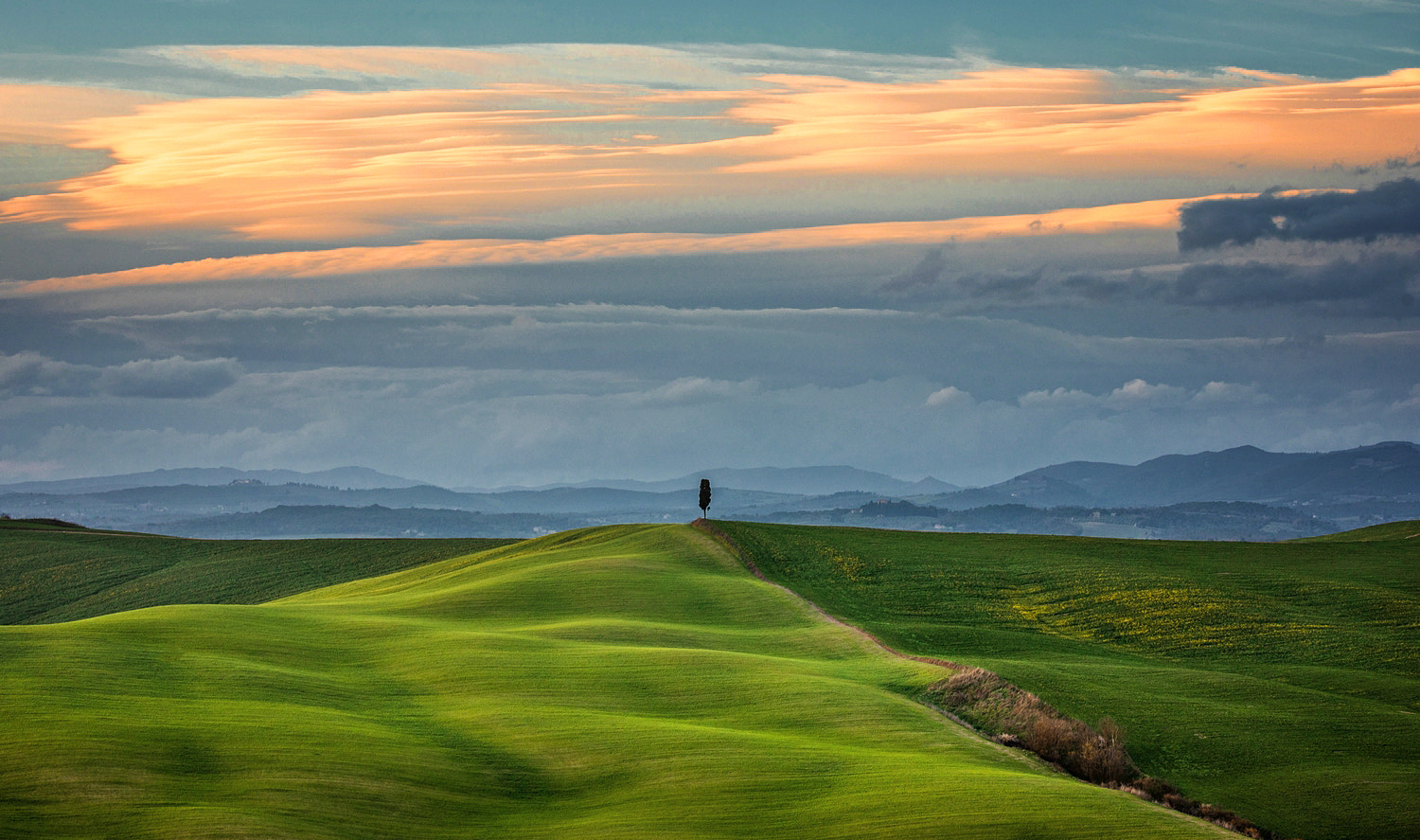 Dramatic Sky And A Tree by Carsten Meyerdierks / 500px