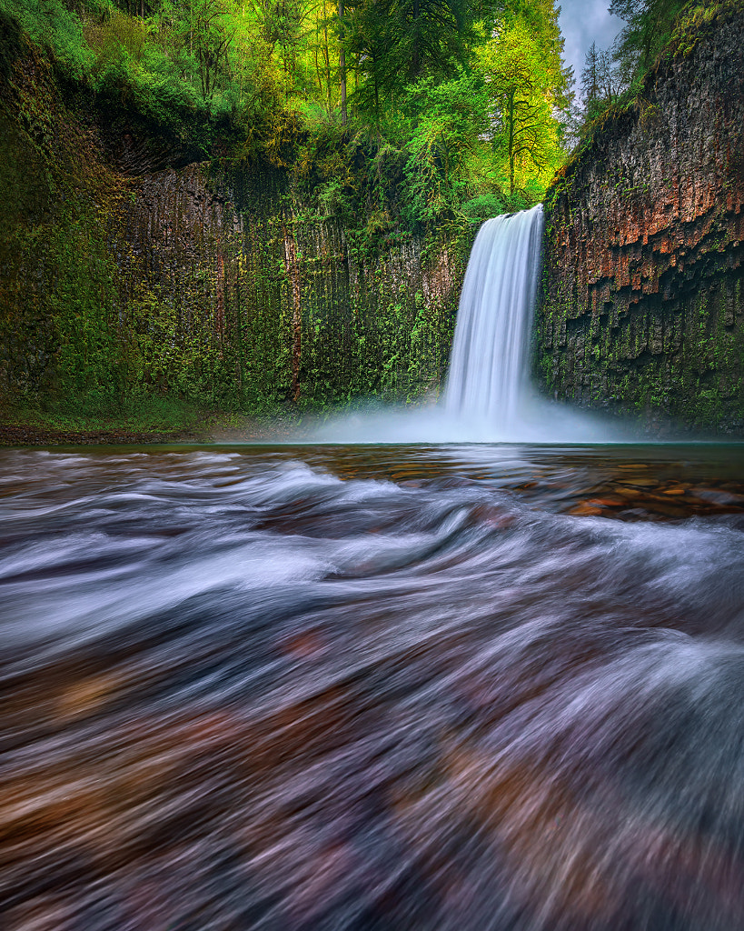 Pacific Northwest Grandeur by Mark Metternich / 500px