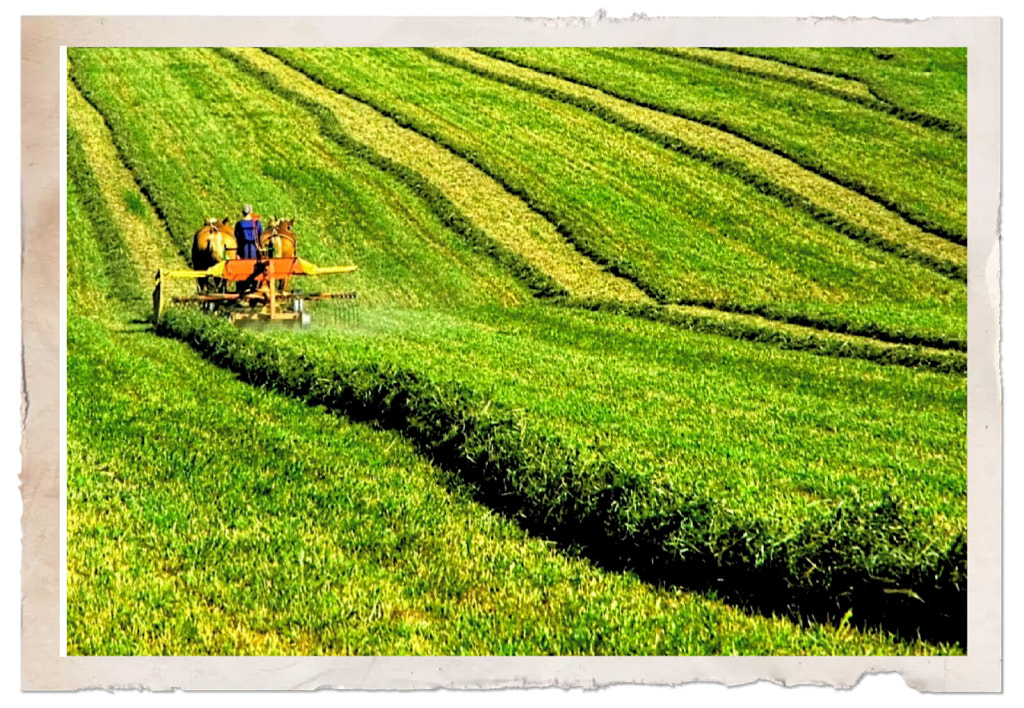 Farmers by George Draney / 500px
