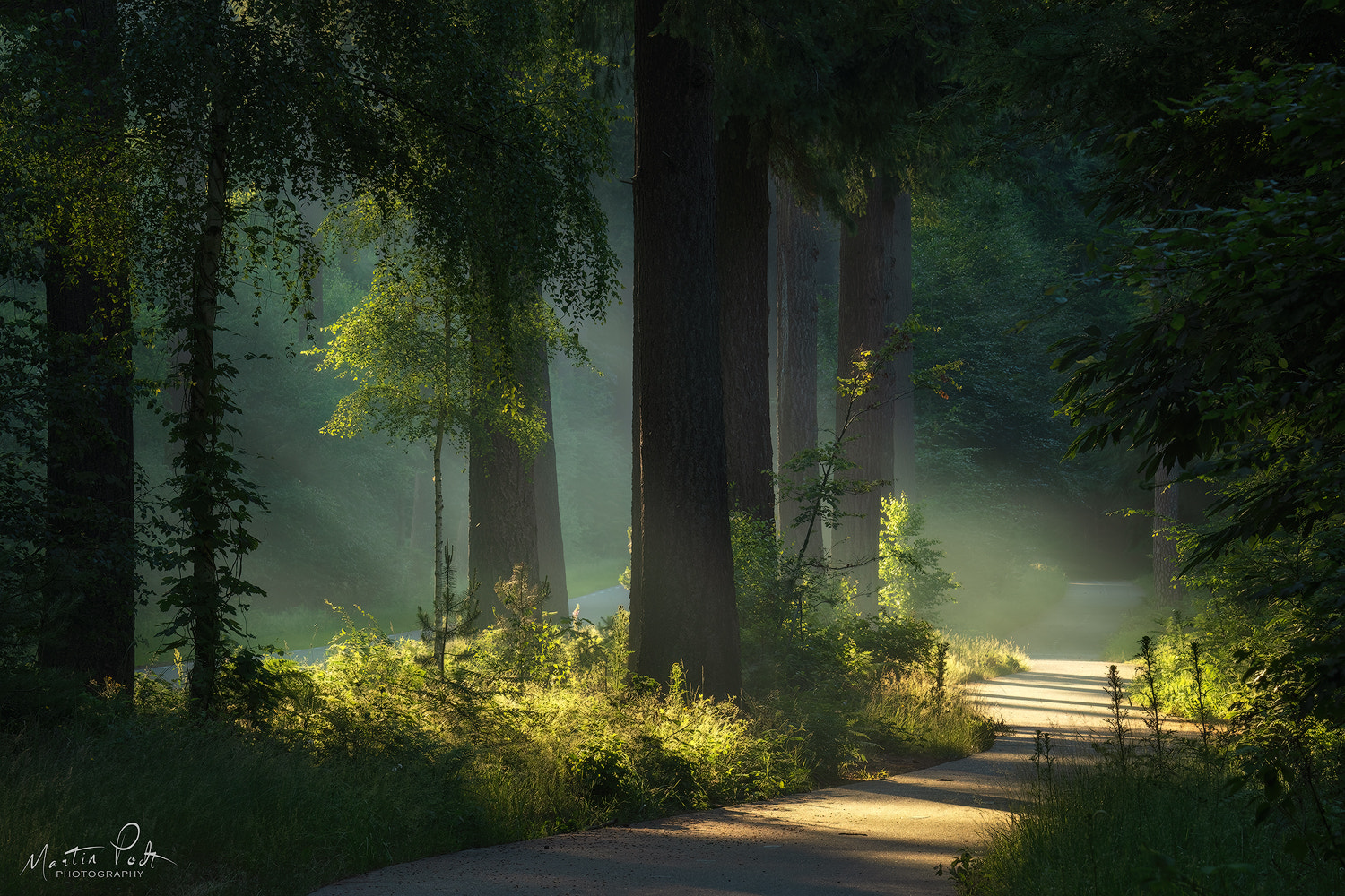Morning light by Martin Podt / 500px