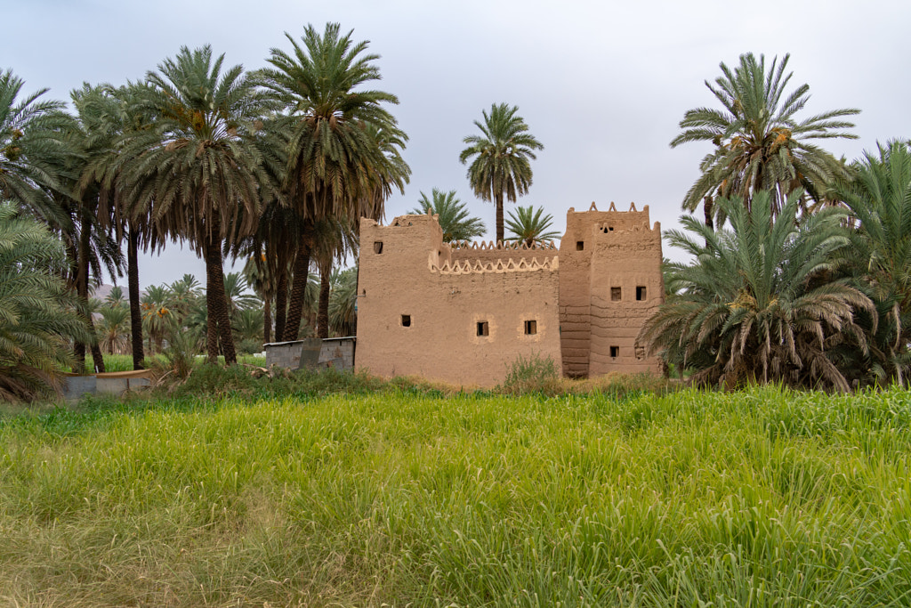 muddy house surrounded by palm trees by Khater ALahmad / 500px