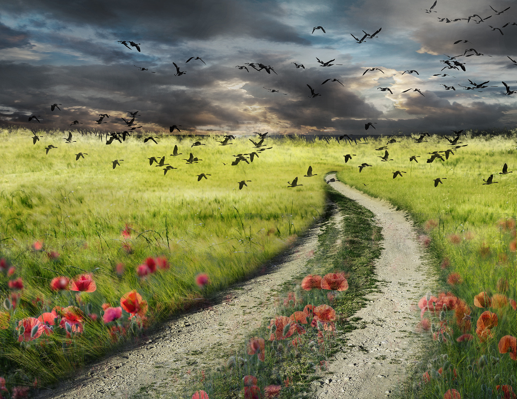 Feldweg by Christine Ellger / 500px