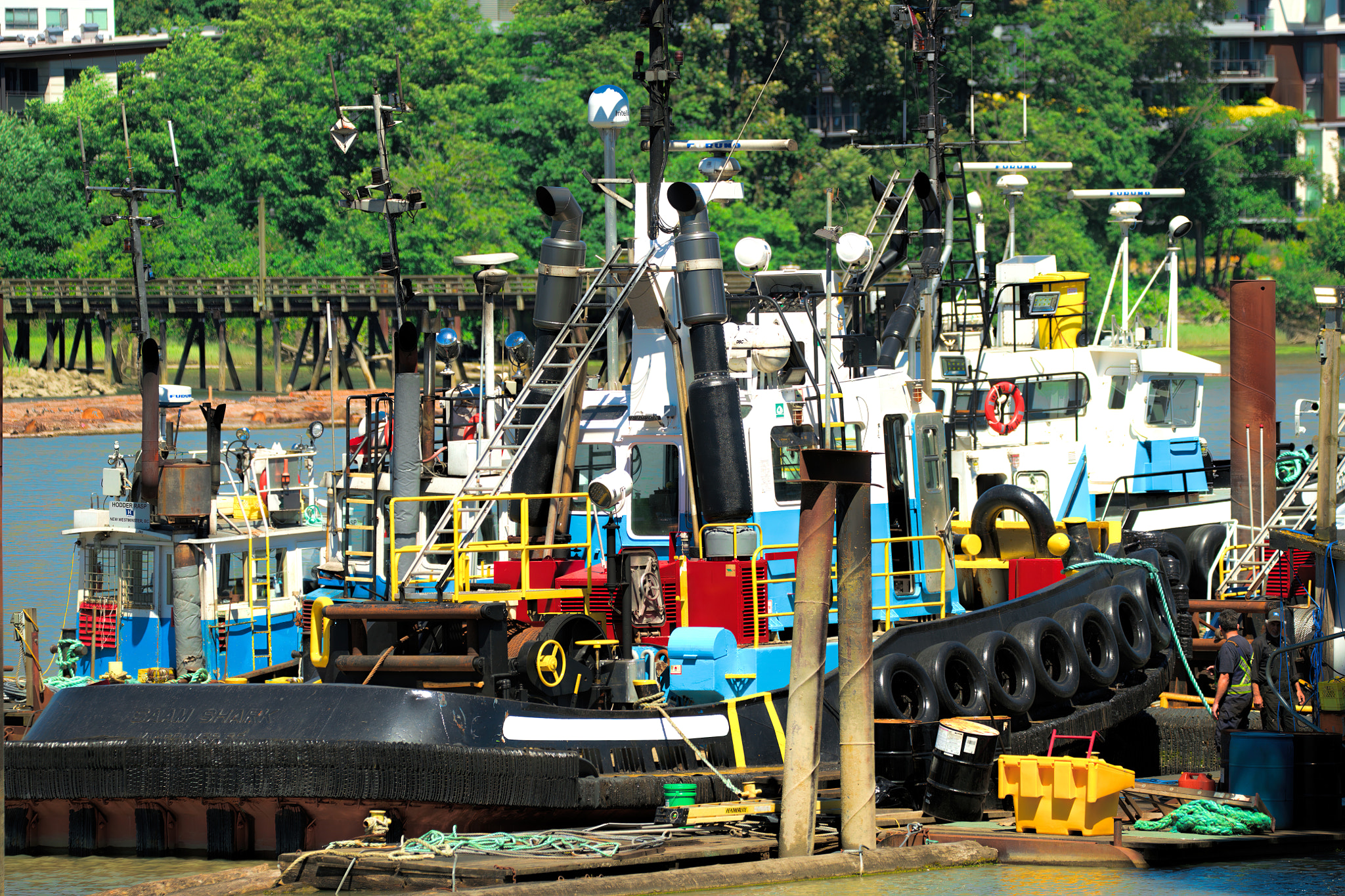 Crowded Dock (2292) by Cas Balicki / 500px