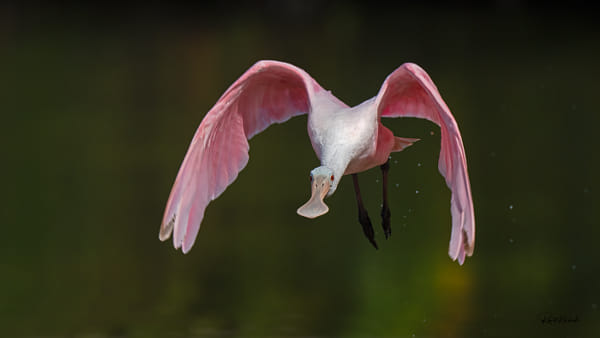 Robert Kimbrell (robertkimbrell) Profile / 500px