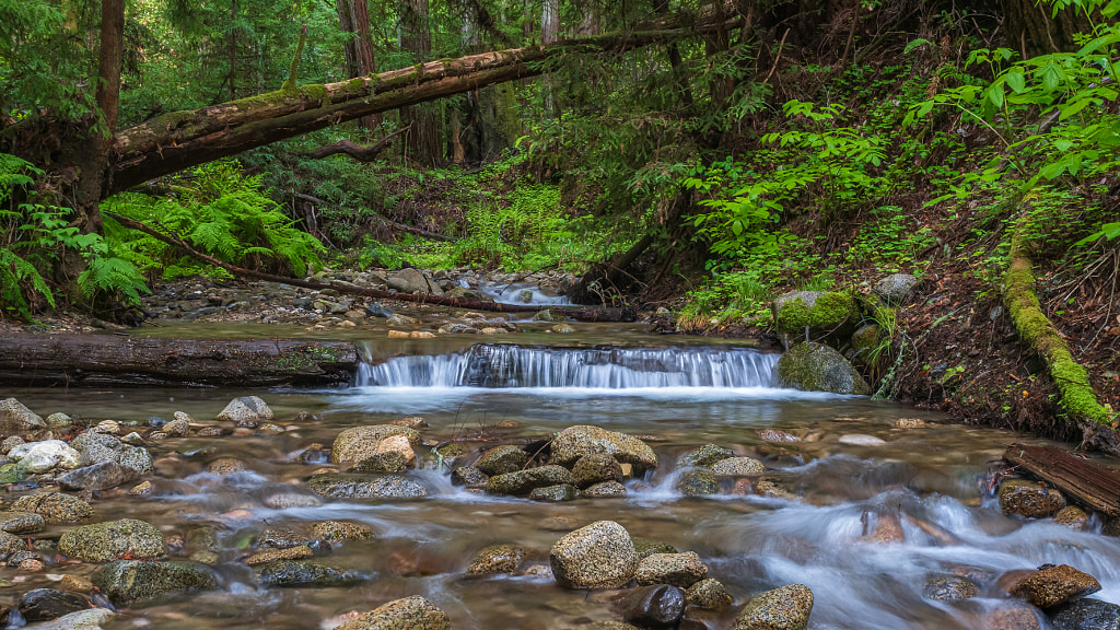 Fall Creek by Steve R / 500px