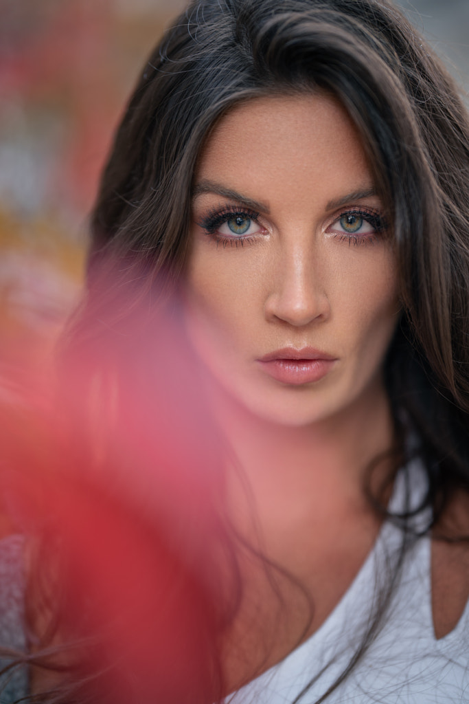 Durch die Blume... by Markus Velten / 500px