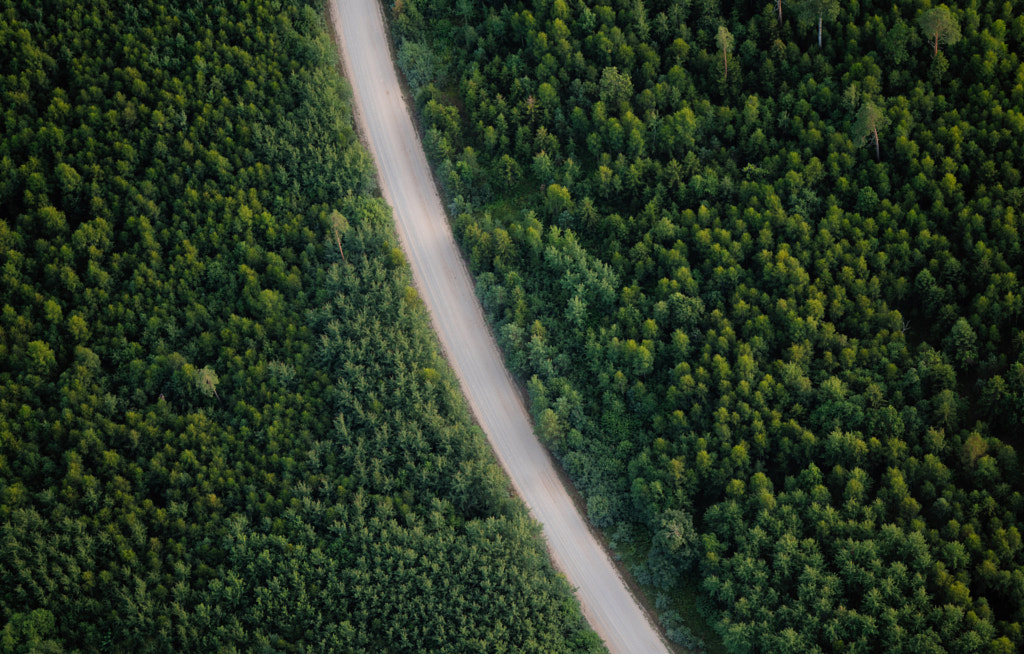 Dirt road through a forest in summer, aerial view by Zane Magone / 500px