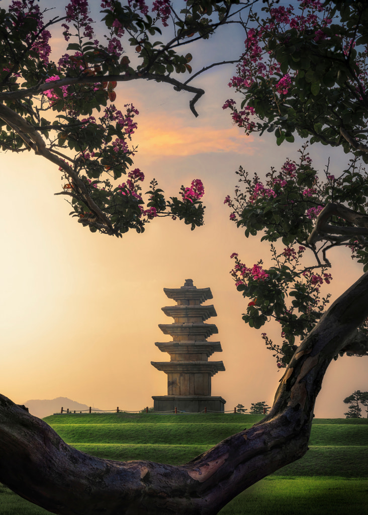five stone pagoda by Jungsik Park / 500px