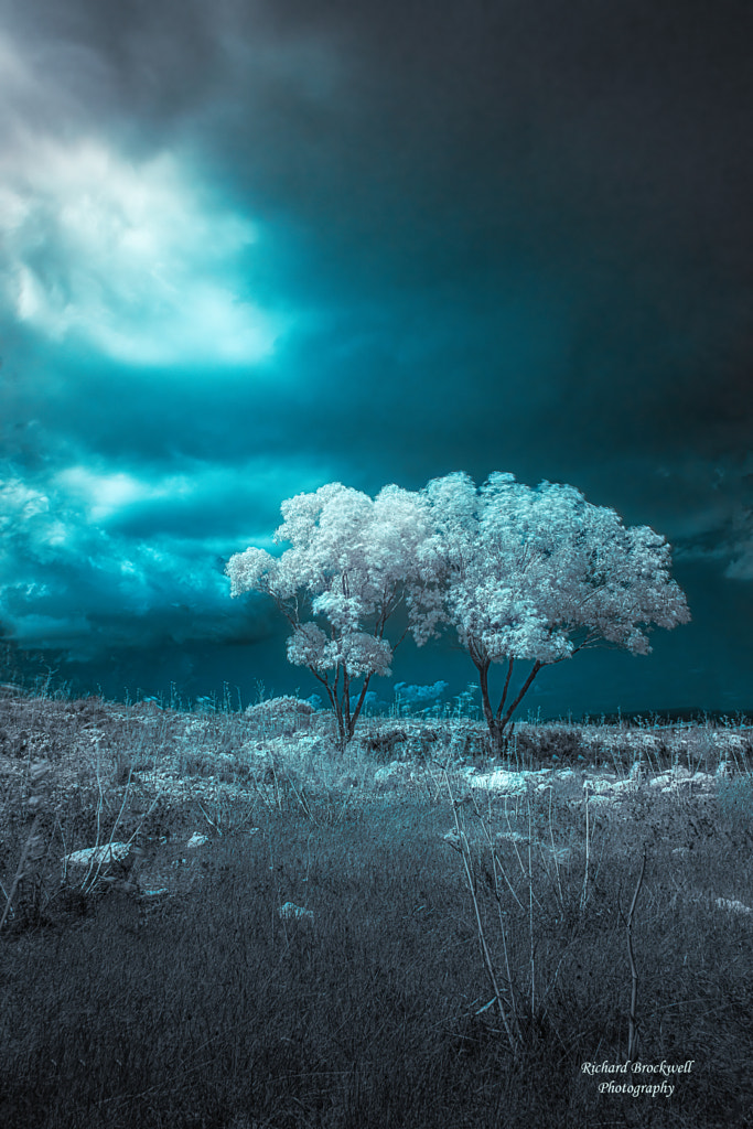 The Beauty of Infrared Photography. by Richard Brockwell / 500px
