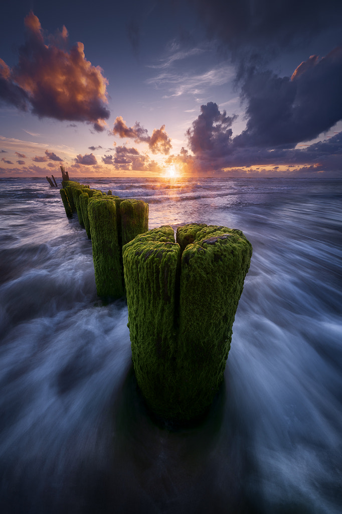 Beautiful sunset at Bergen aan zee, The Netherlands. by Iván Maigua / 500px