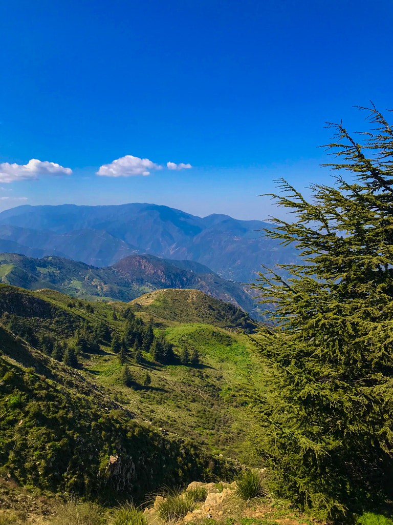 The magic of nature by Dani Photo / 500px