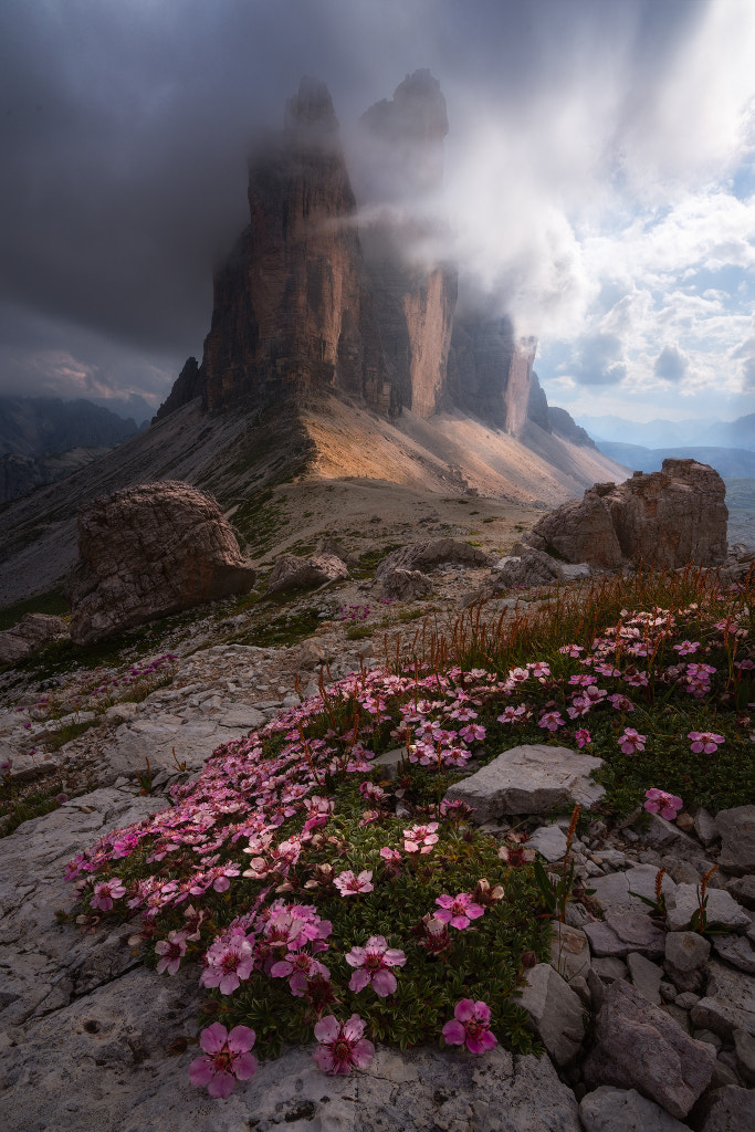 Skyscraper by Jake Bylsma / 500px