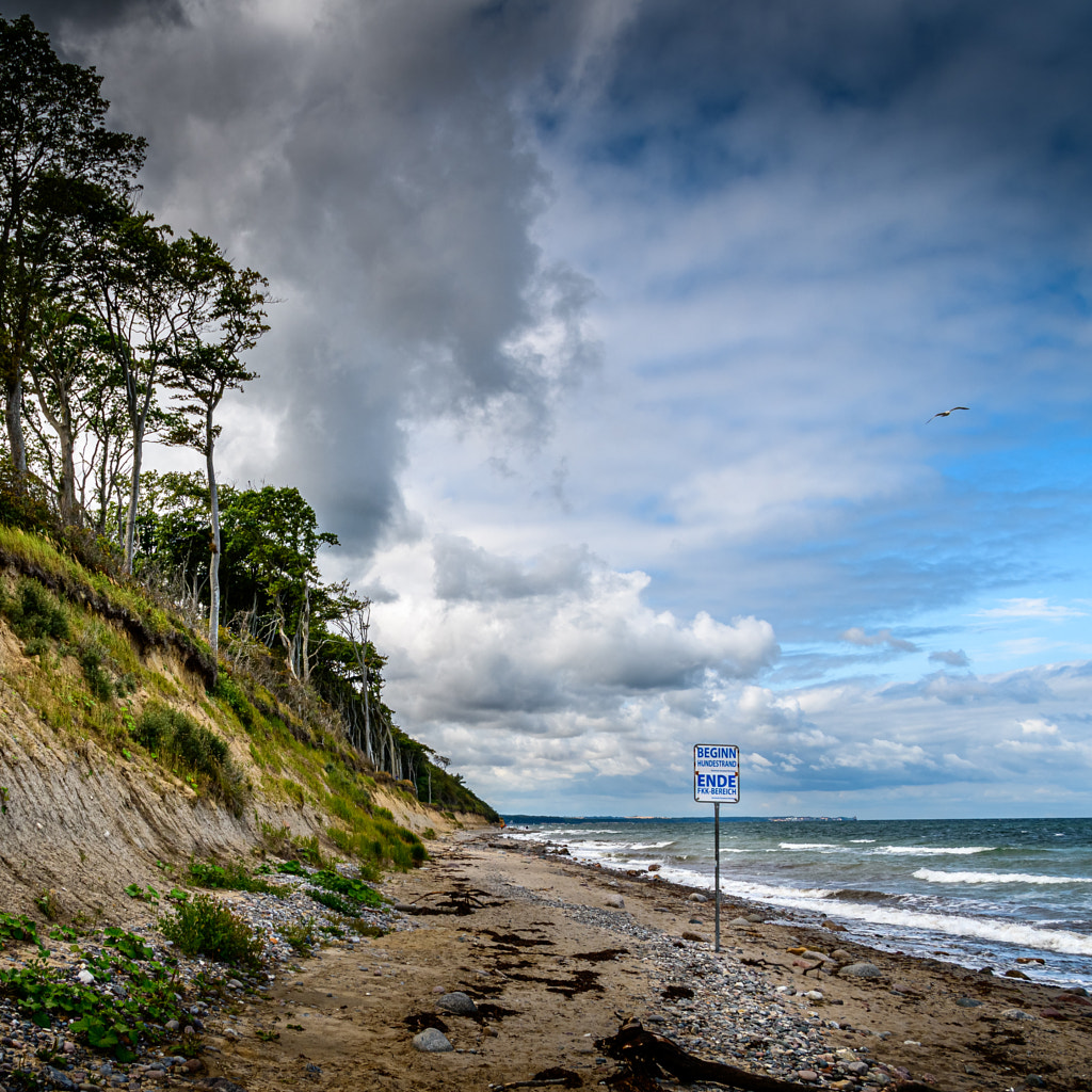 Every ending has a new beginning by Mario Soenen / 500px