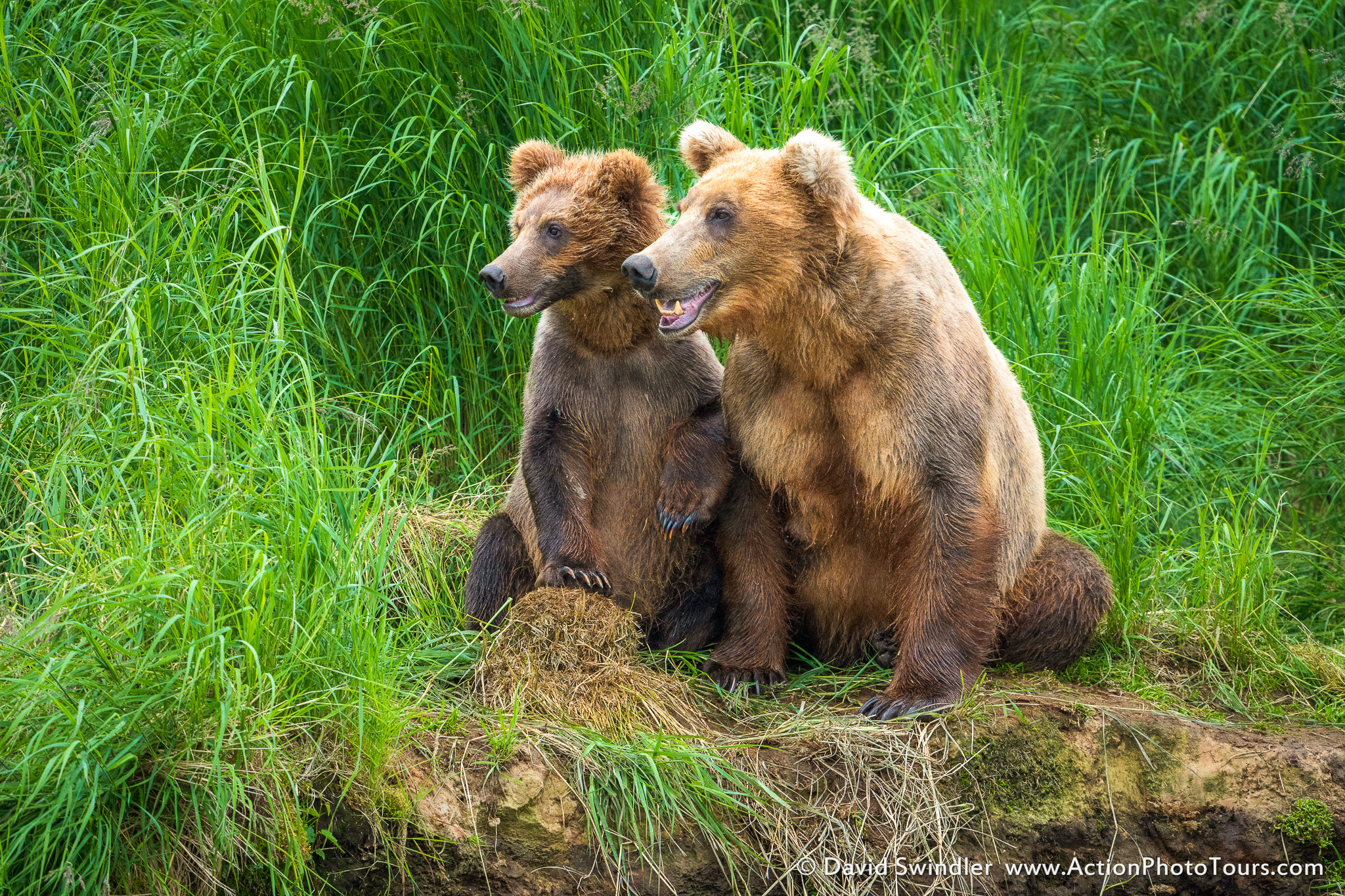 Family resemblance by David Swindler / 500px