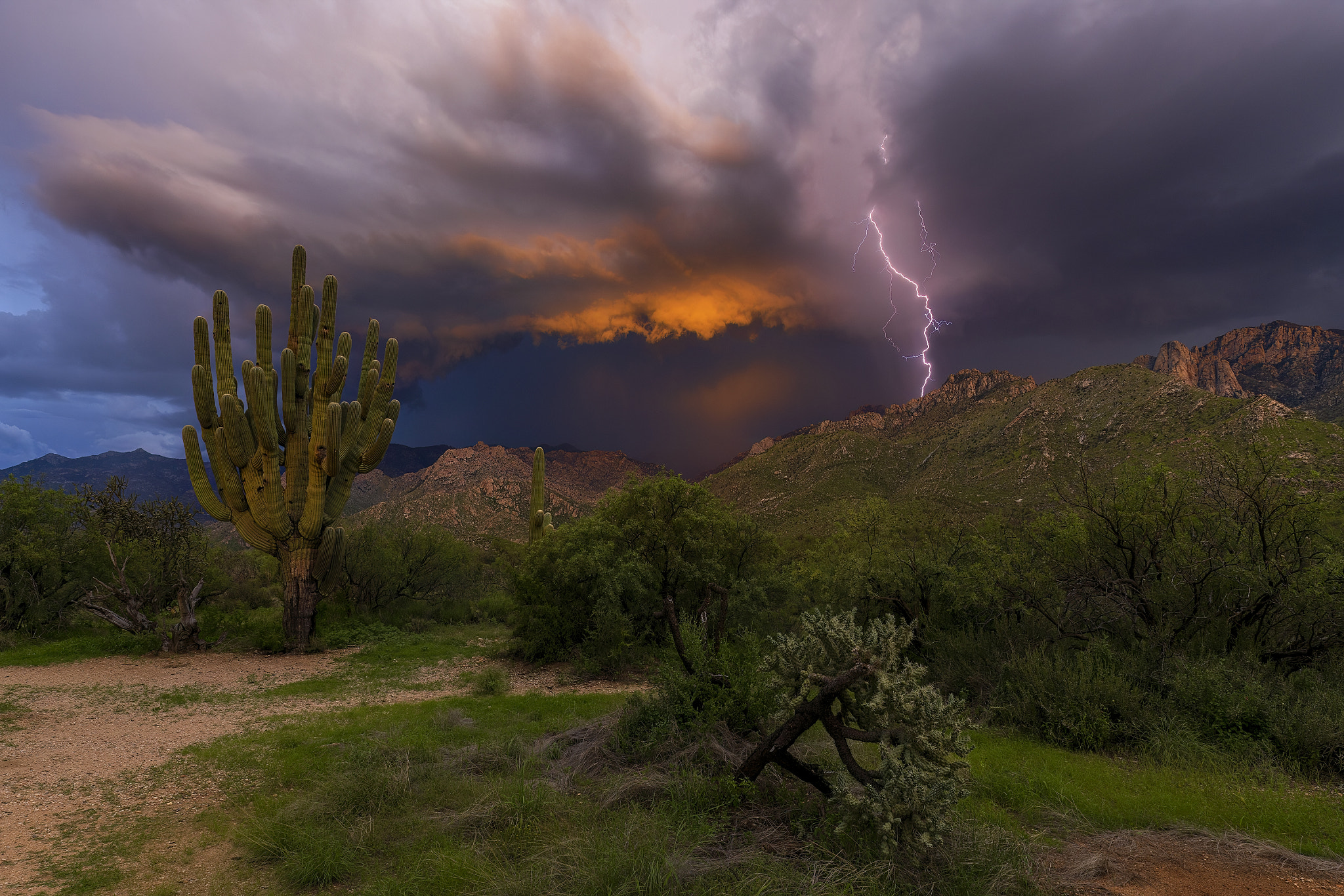 ~Crumblin' Down~ by Danilo Faria / 500px