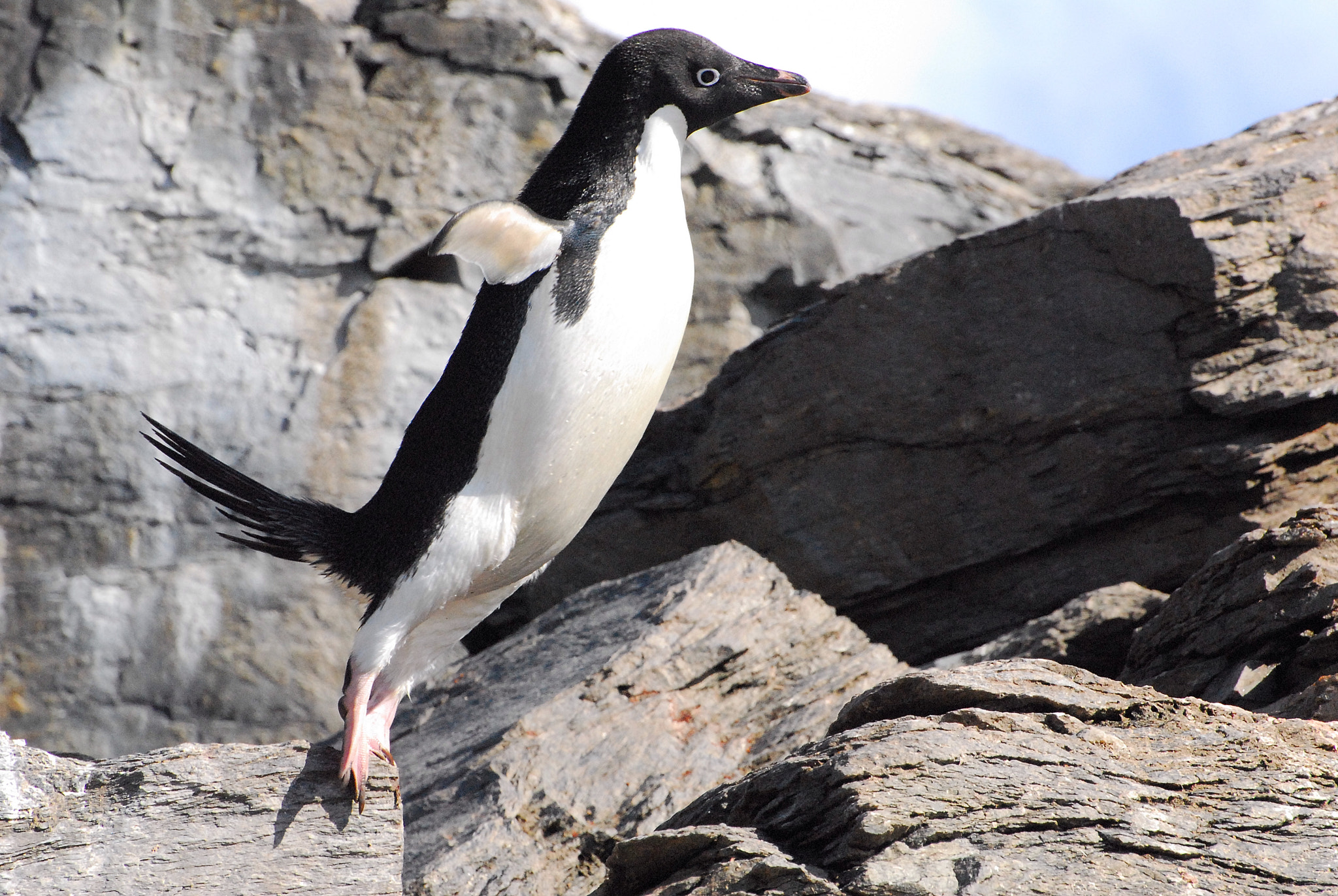 Antarctica Culture 32 by Lisa Polansky / 500px