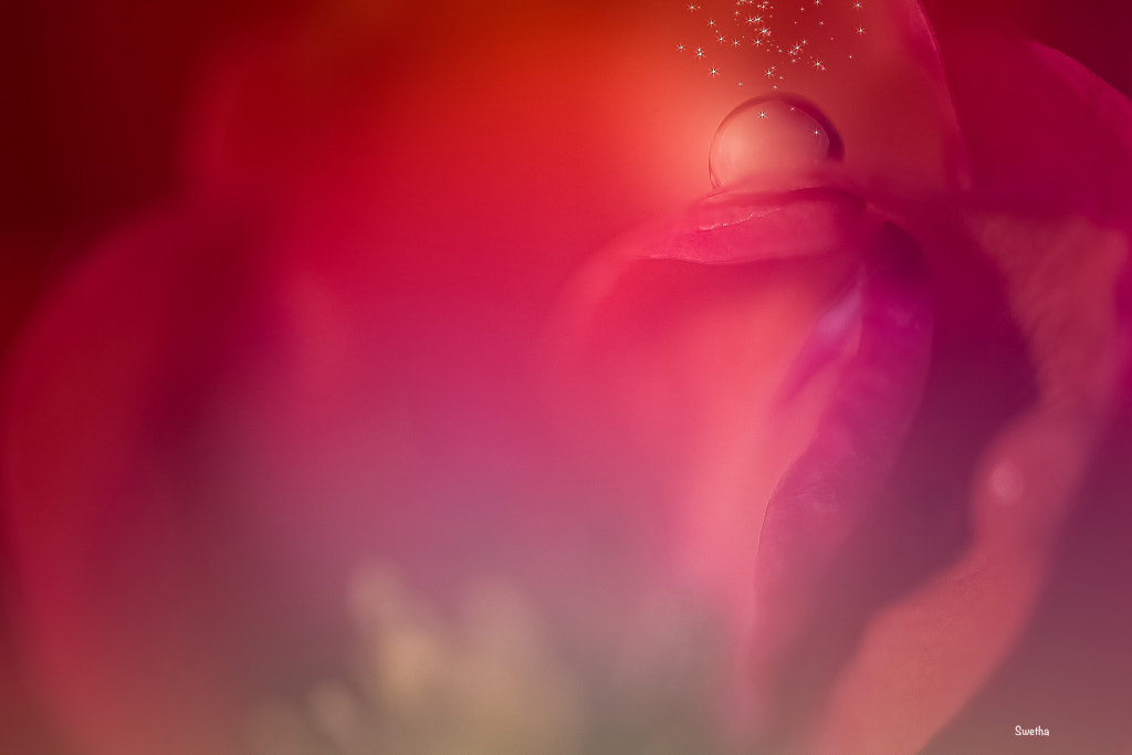 Can dew attitude by Swetha Gopal / 500px