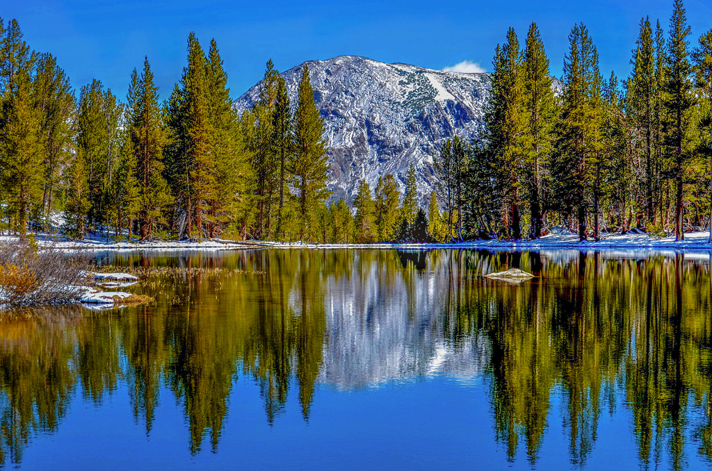 Tioga Pass Area by Ridge Walker / 500px